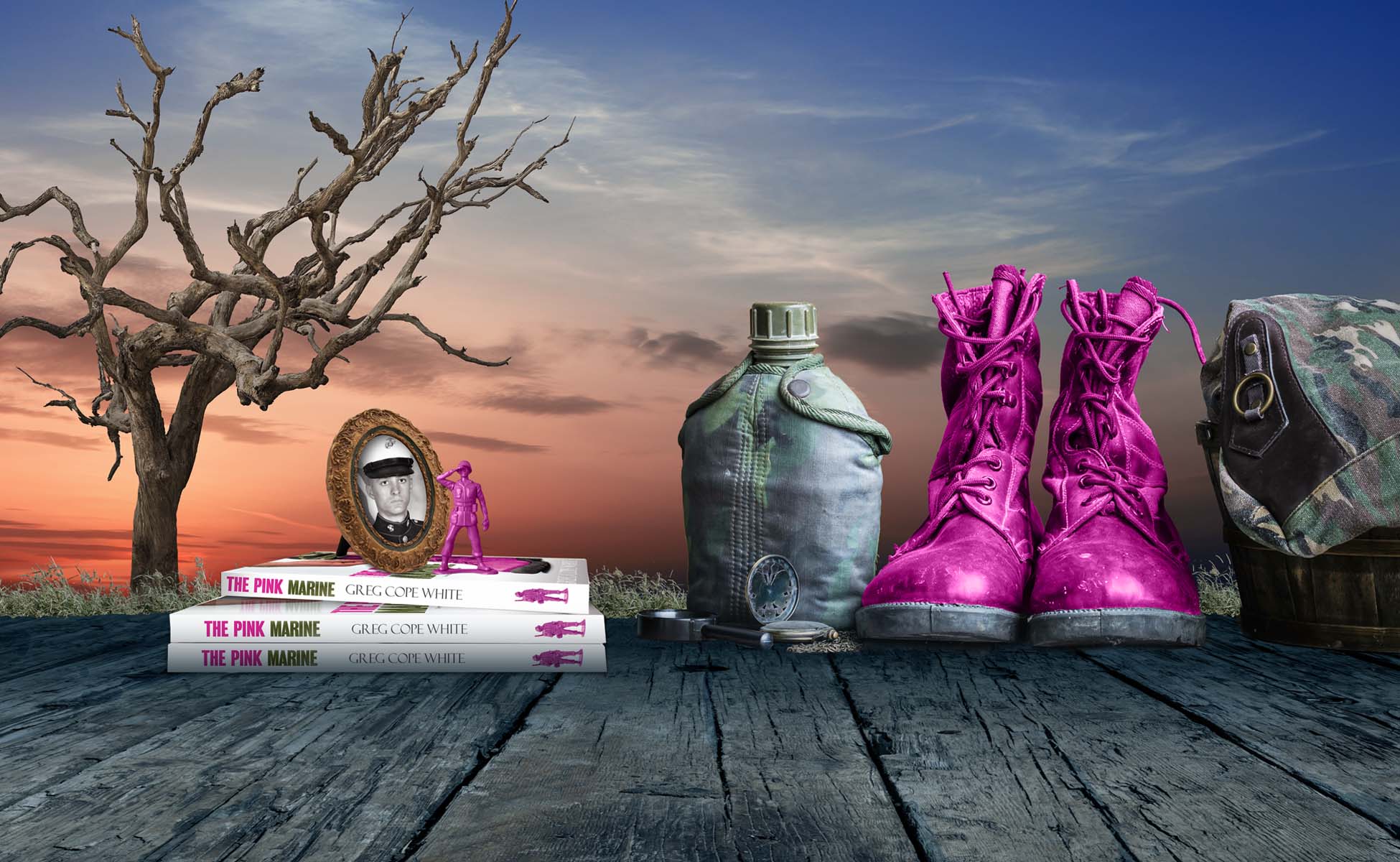 The Pink Marine: Pride in the Media